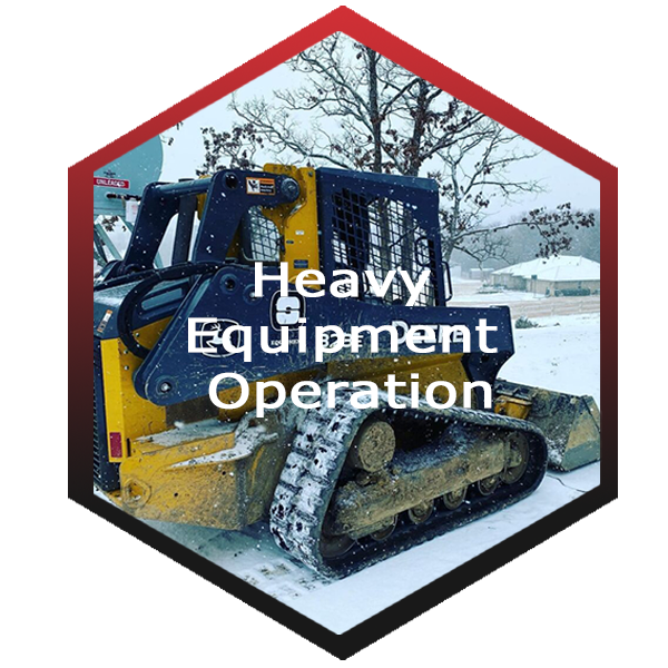 Our Services | Tree and Land Management